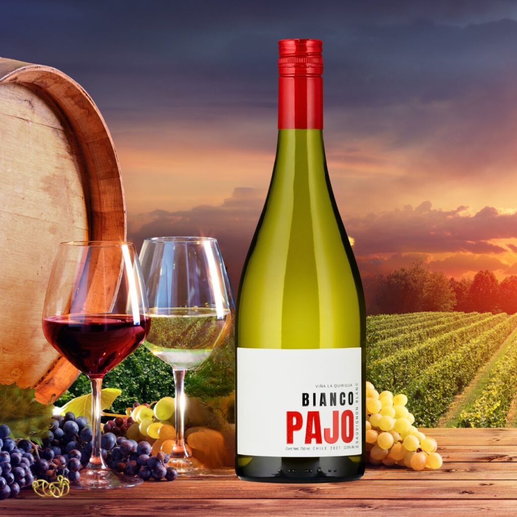 Home - PAJO wine